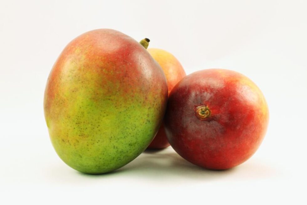 Mango Haden - Aria Market